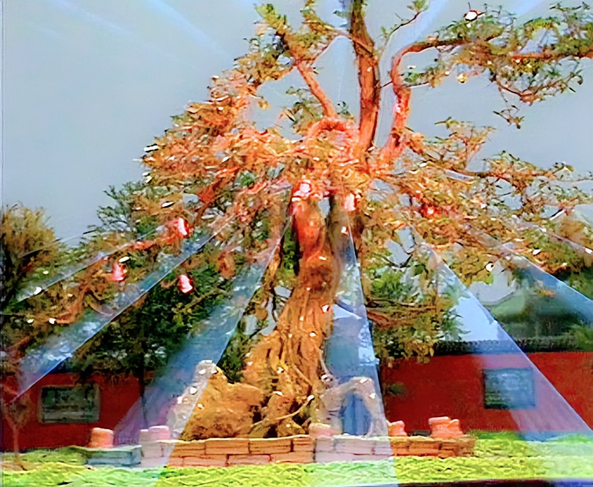 2 minutes to understand the ancestor of the earth immortal - "Zhenyuan ...