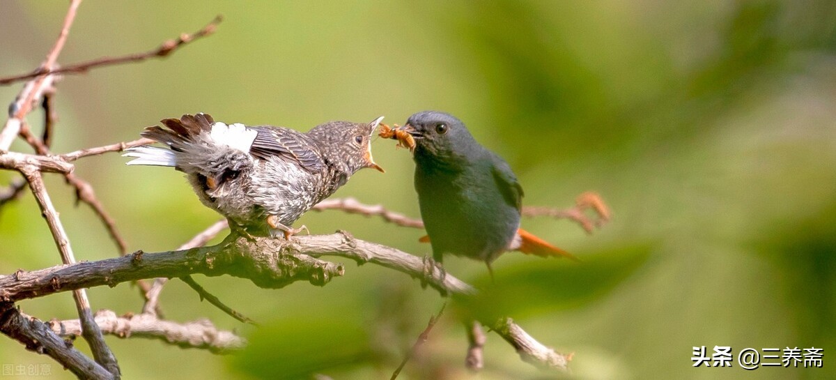 Poetry Comes Out of the Heart and the Heart, Out of the Heart and Heart ...