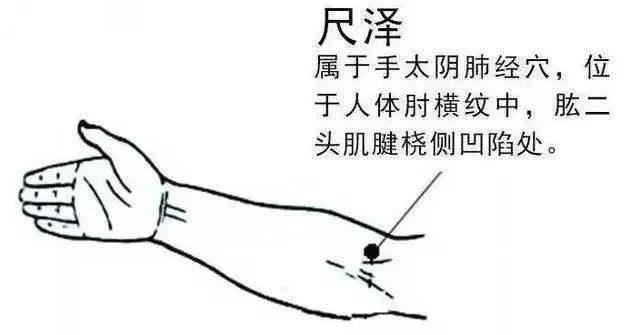 The magical Chize point, the acupuncture point for dredging collaterals ...