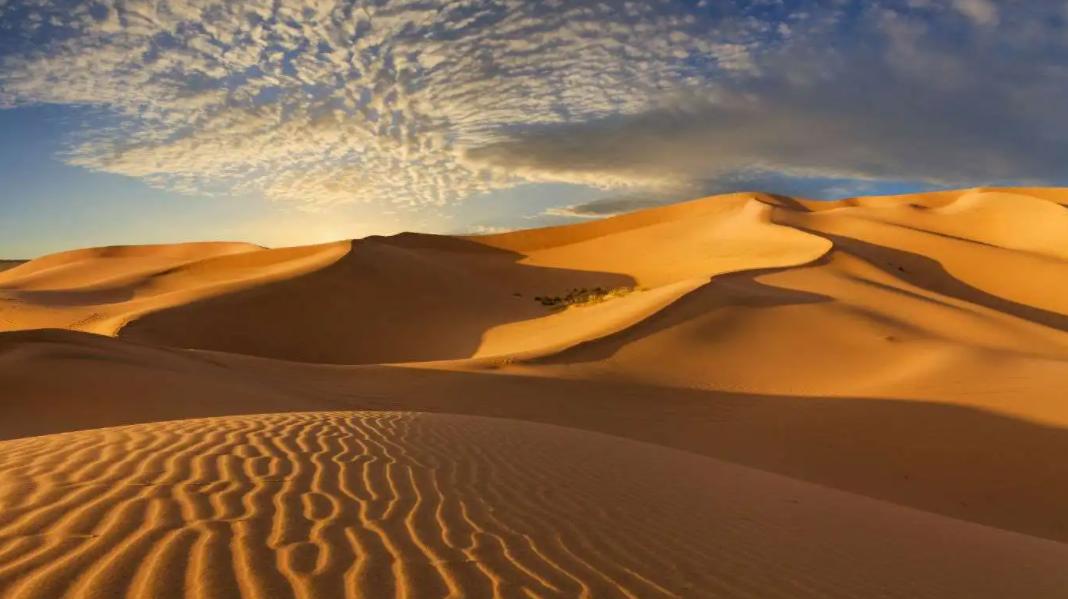 Mu Us Desert: China's first desert that is about to disappear ...