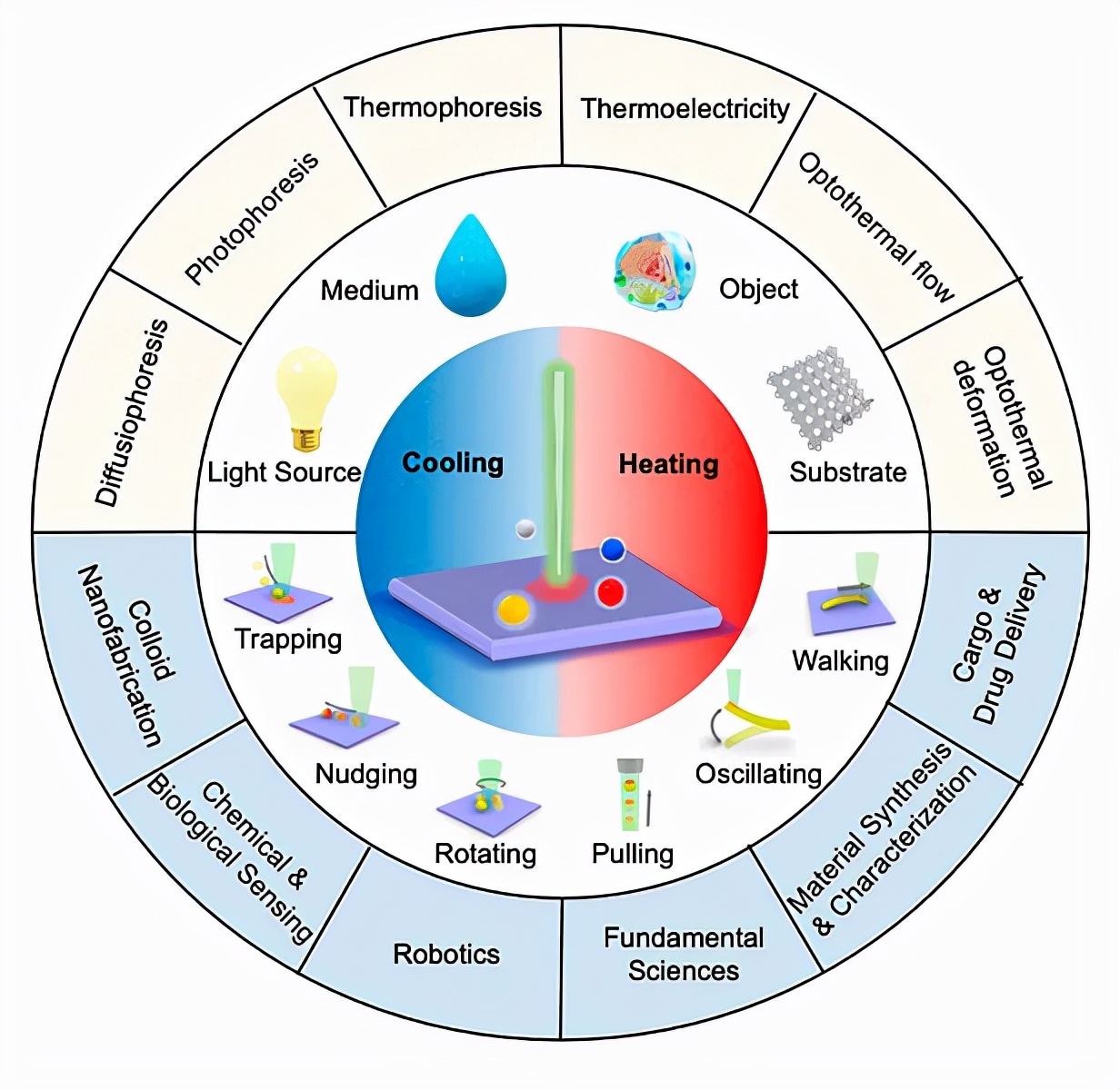 Zheng Yuebing's team Chem. Rev.: Review of thermal-mediated optical ...