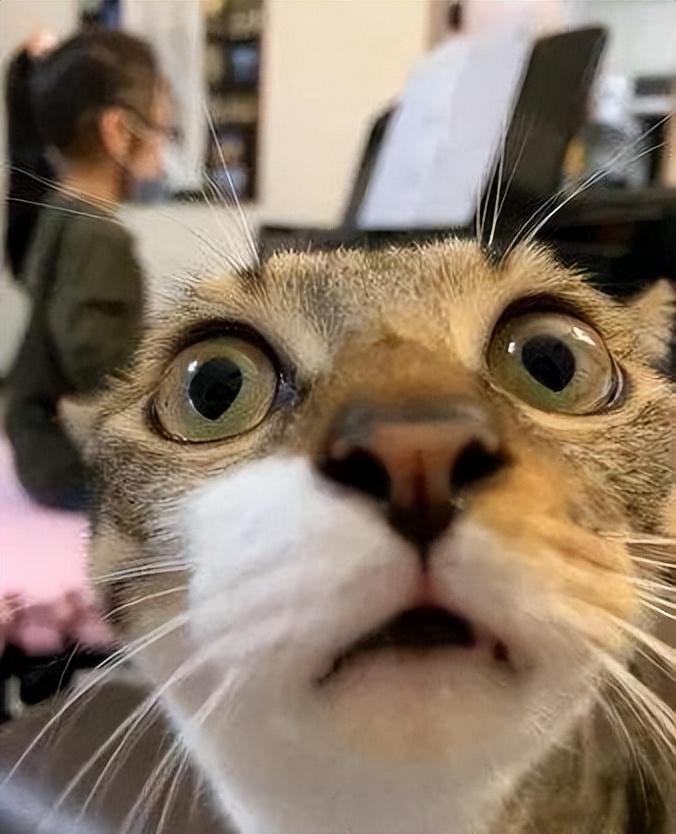 Take it easy!These sounds are comparable to "magic sounds" and can make ...