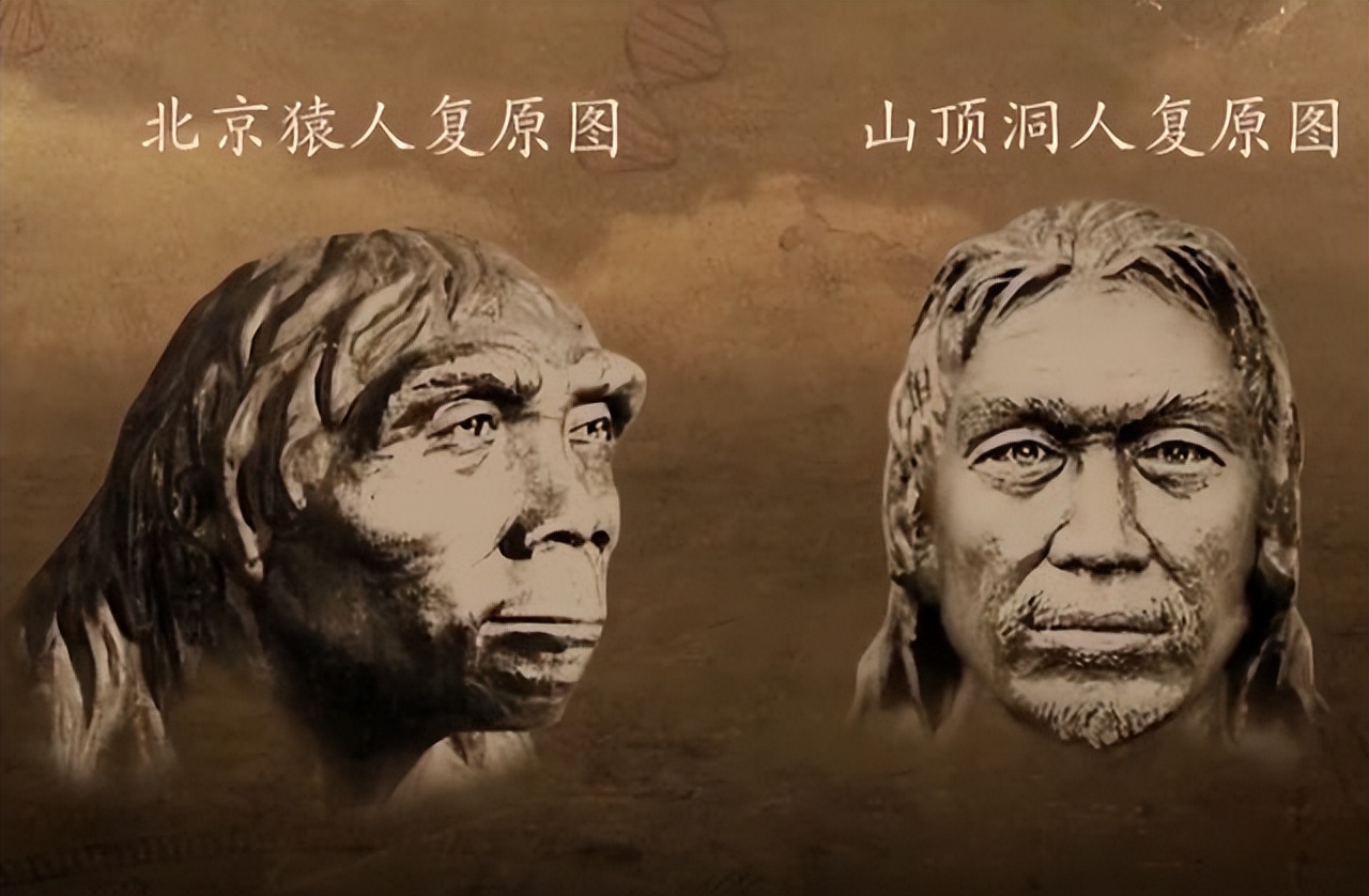 Han nationality in China: scientific research to solve the mystery ...