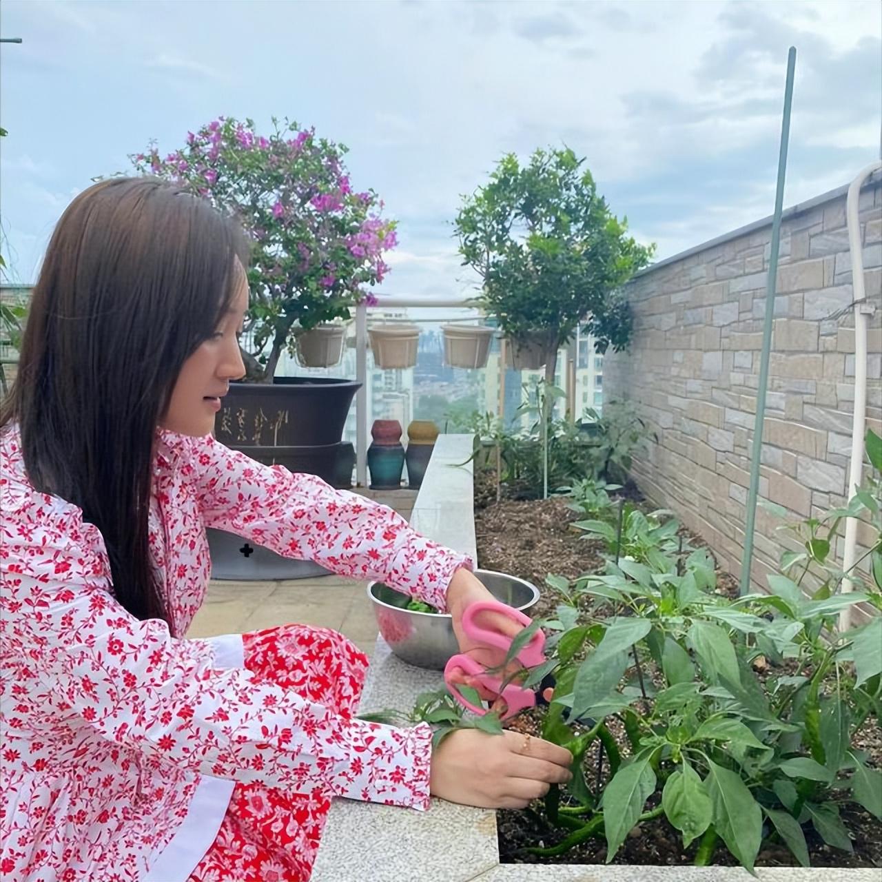 Sweet song queen Yang Yuying: After becoming famous, she fell in love ...