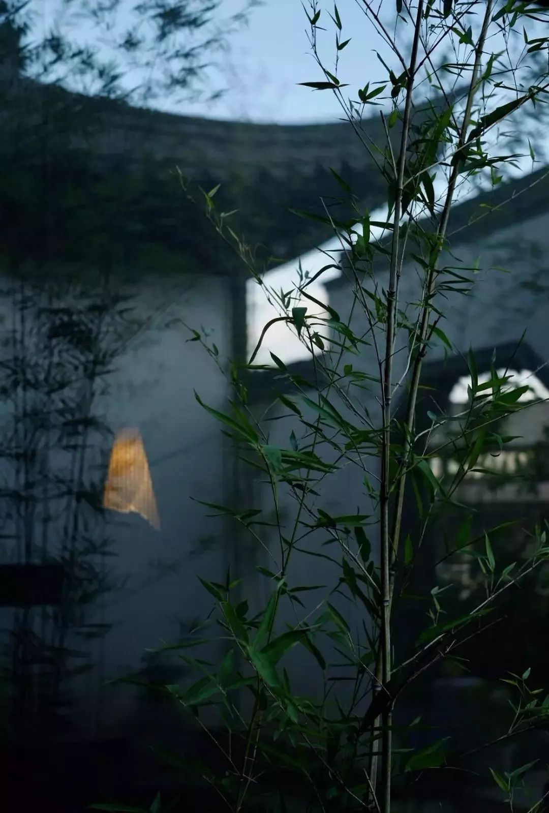 Bamboo is nostalgic for ancient times, bamboo can heal people's customs ...