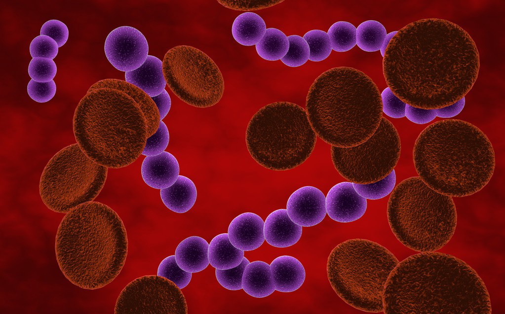 "Story of Invention" (183) - The tragic life of Domac, who conquered ...