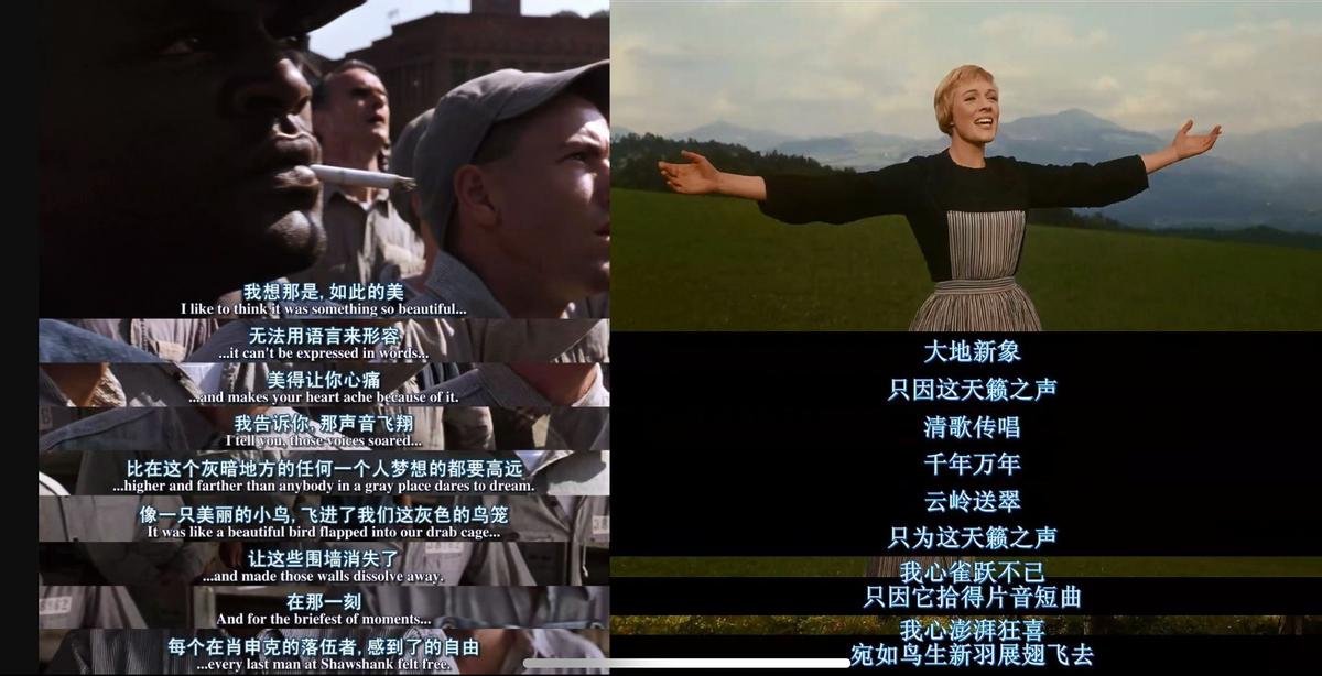 "The Shawshank Redemption" shows the audience the process of Andy's ...