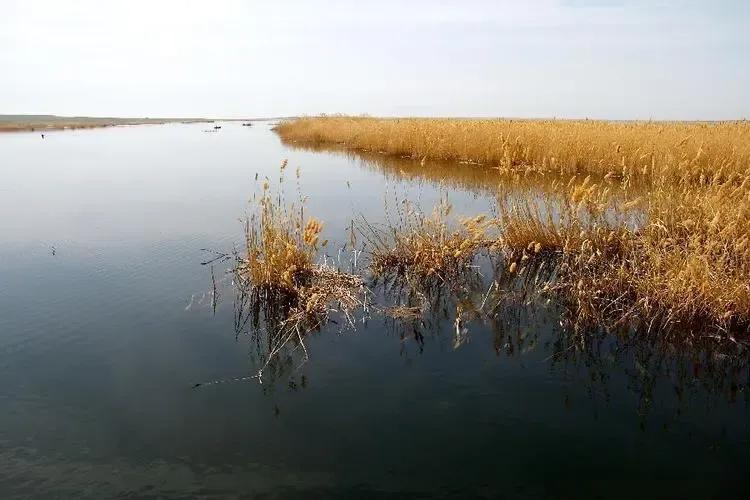 Syr Darya - the longest river in Central Asia - iNEWS