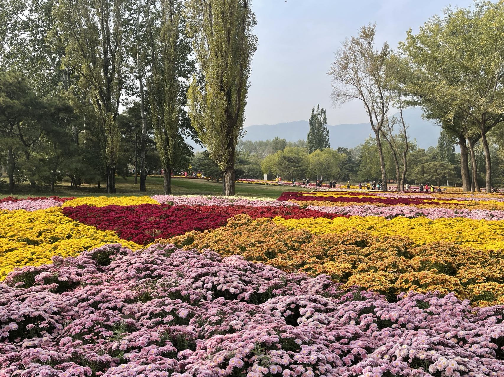 Seven Absolutes: Frostfall - iNEWS