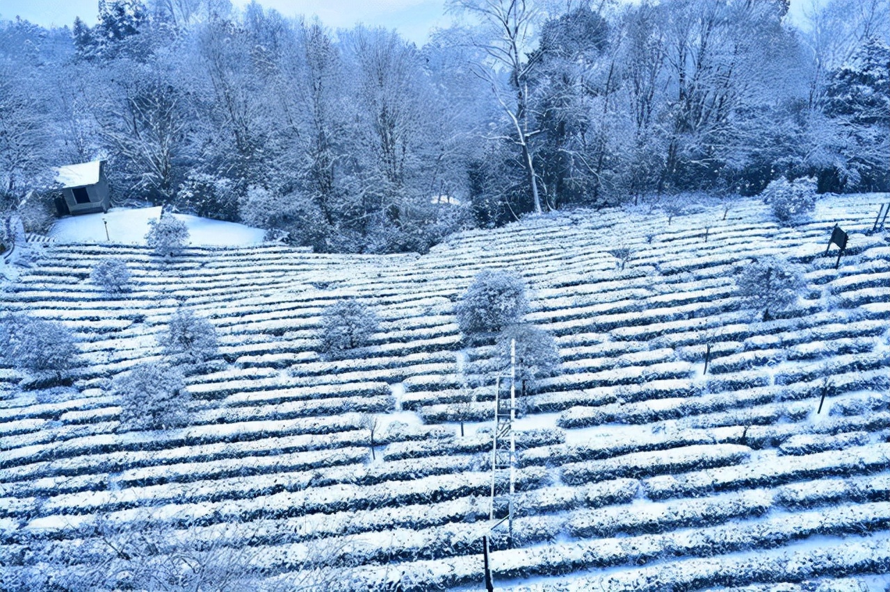 Mengding Mountain in winter!It's the beauty of living in Sichuan, and ...