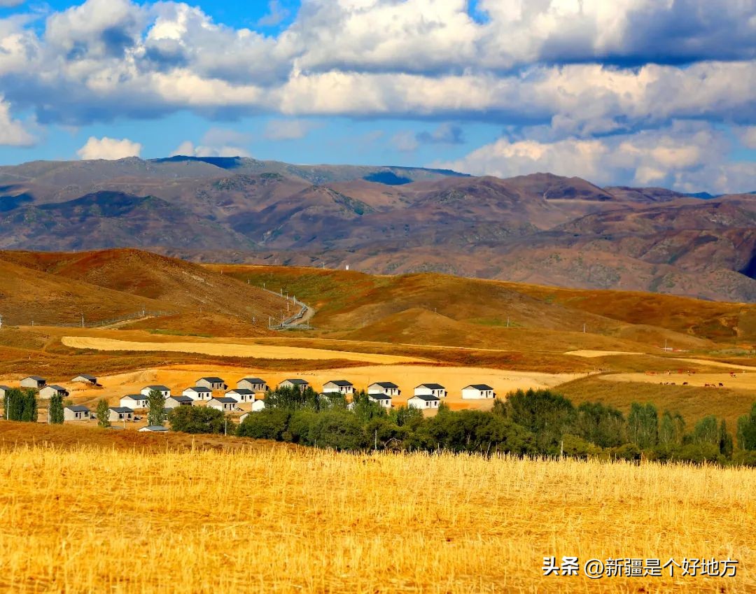 The autumn color of the grassland is really beautiful, take a look and ...