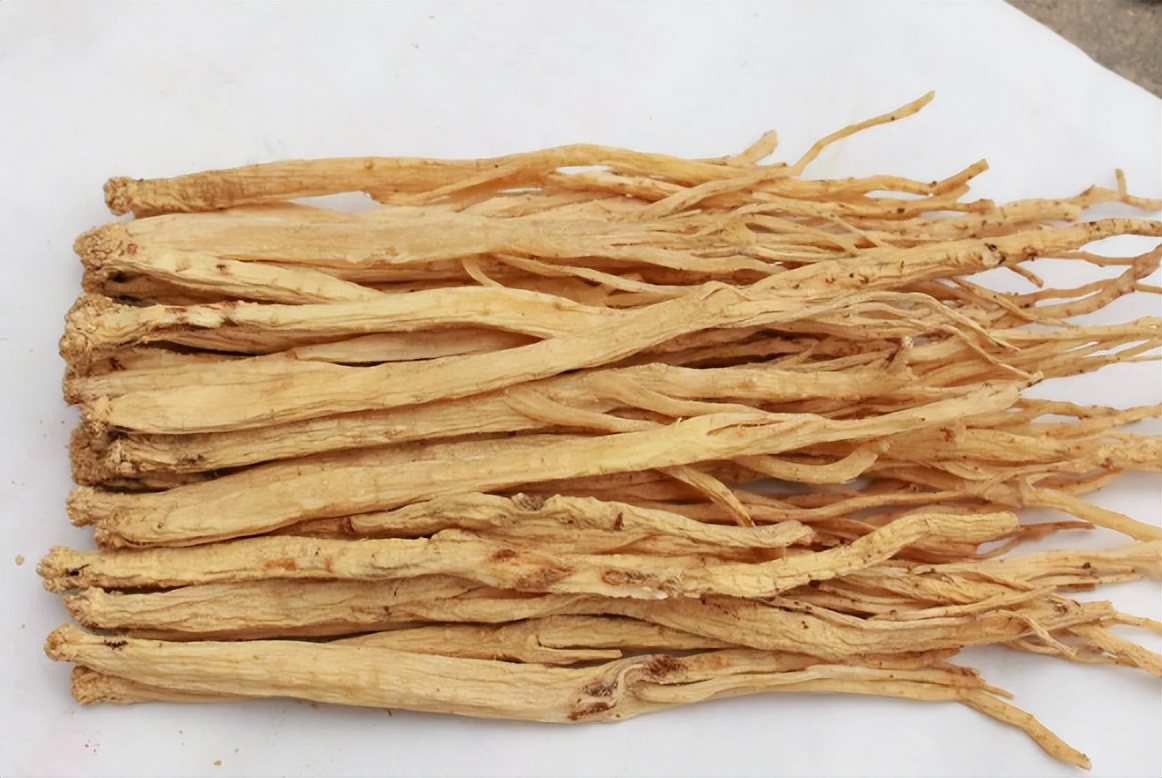 Application selection of ginseng, American ginseng, Codonopsis pilosula ...