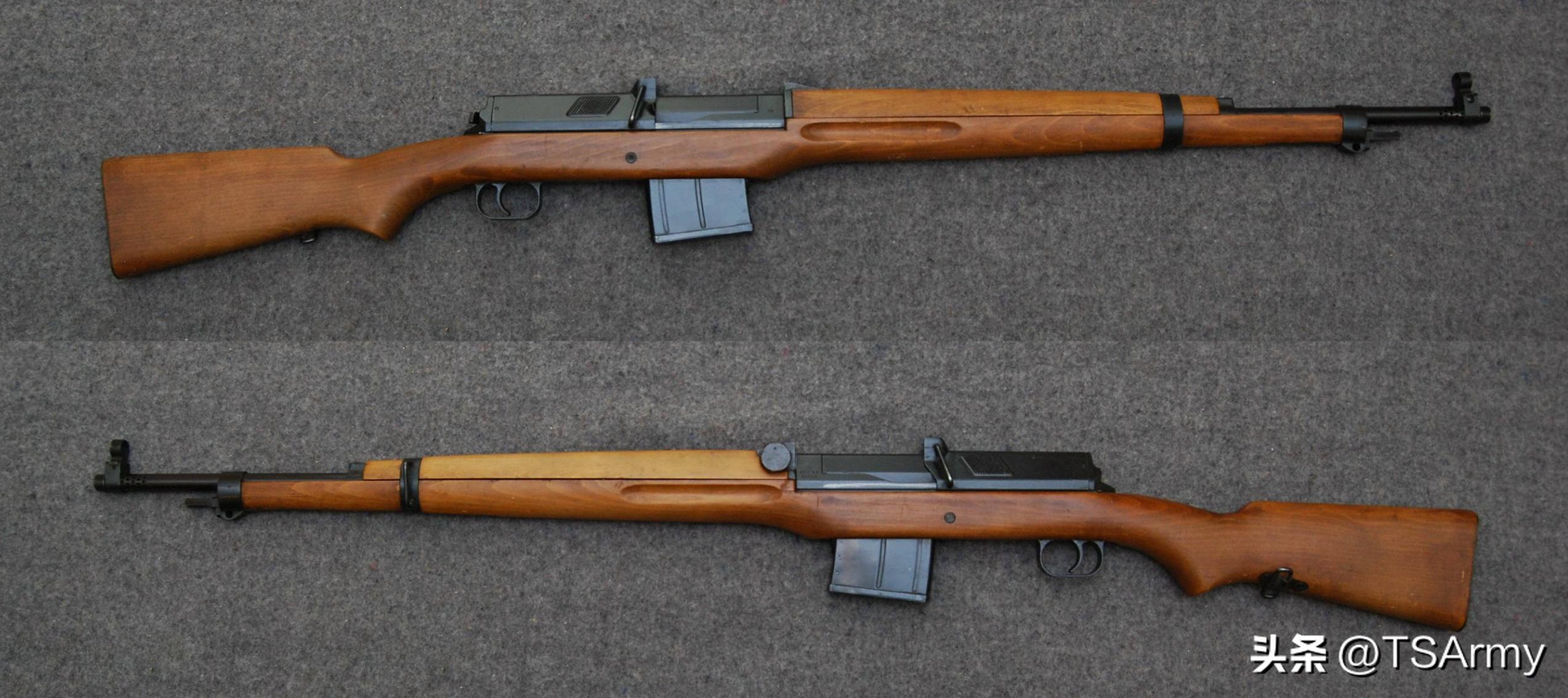 Inventory of 31 semi-automatic rifles in the world, most of which are ...