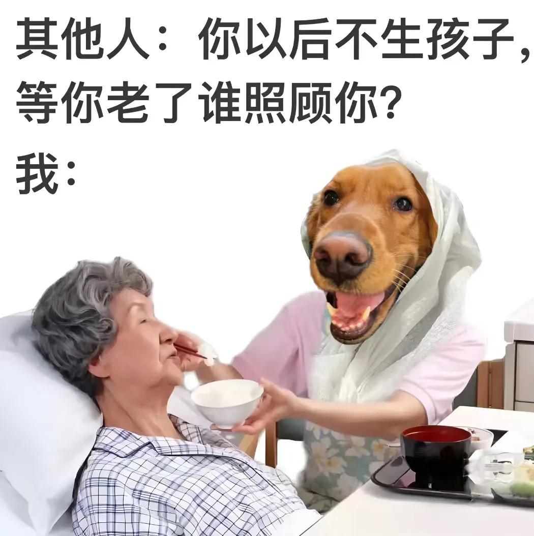 What should I do when I am old? - iNEWS