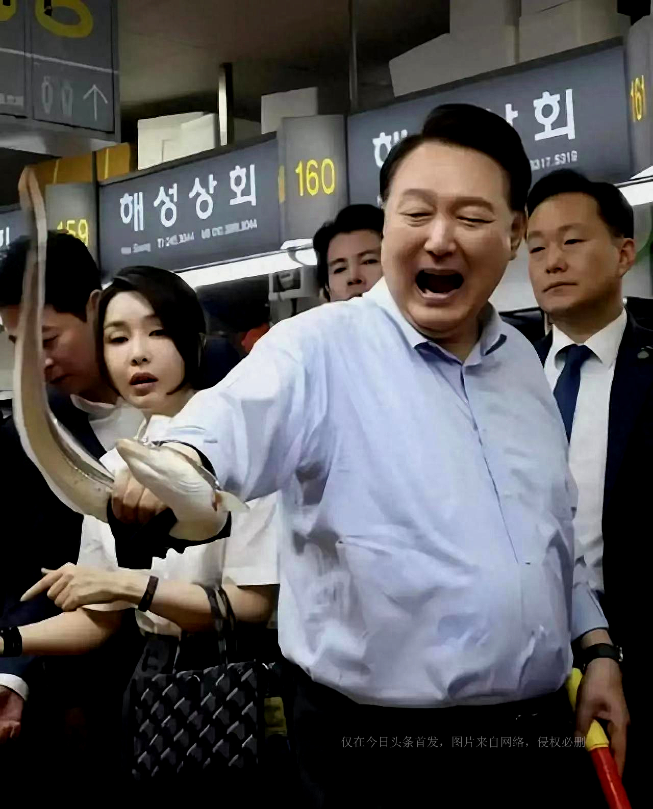 Is the United States afraid? 32 dolphins were stranded and millions of ...