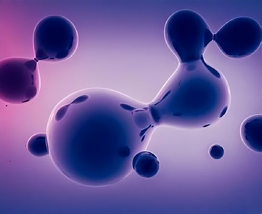 The code of immortality has already been written in our genes? - iMedia