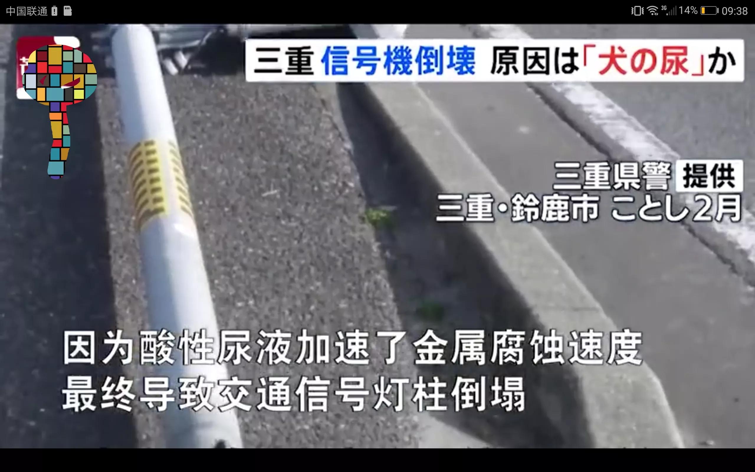 A 6-meter-high traffic light pole in Japan collapsed because of dog ...