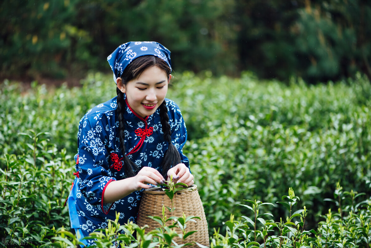 Wang Guanling Ren Xiuwen Zheng Yanping Li Wenxiu Zhang Zhongshan Gu ...
