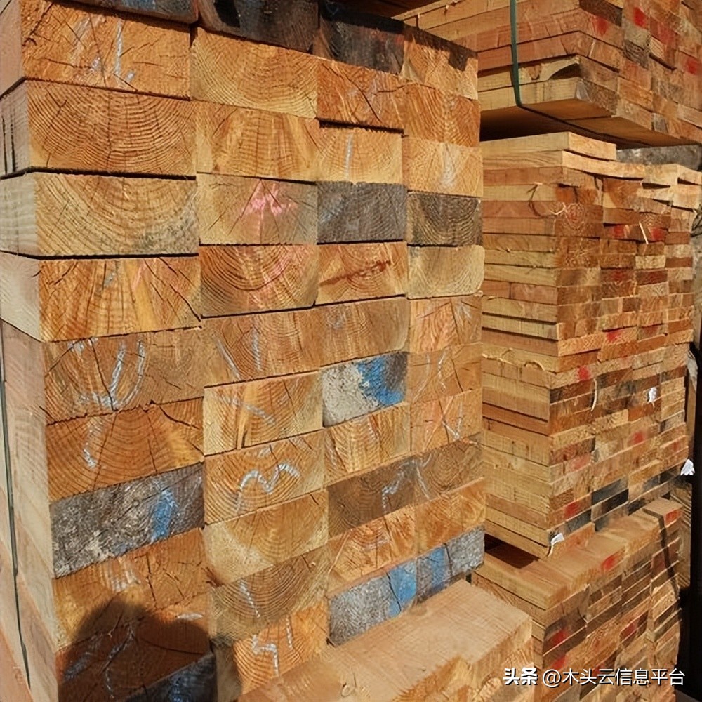 Finnish timber trade reaches record high - iNEWS