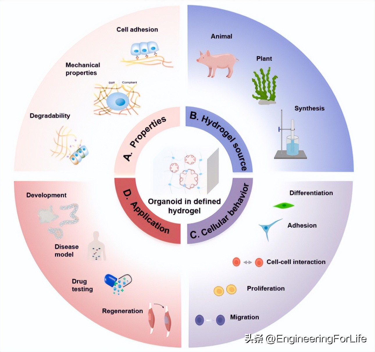 The latest review of "Bioact. Mater.": Starting from hydrogels, aiming ...