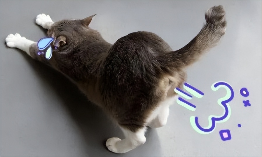 Do cats fart?"Silence is better than sound here", it stinks so much ...