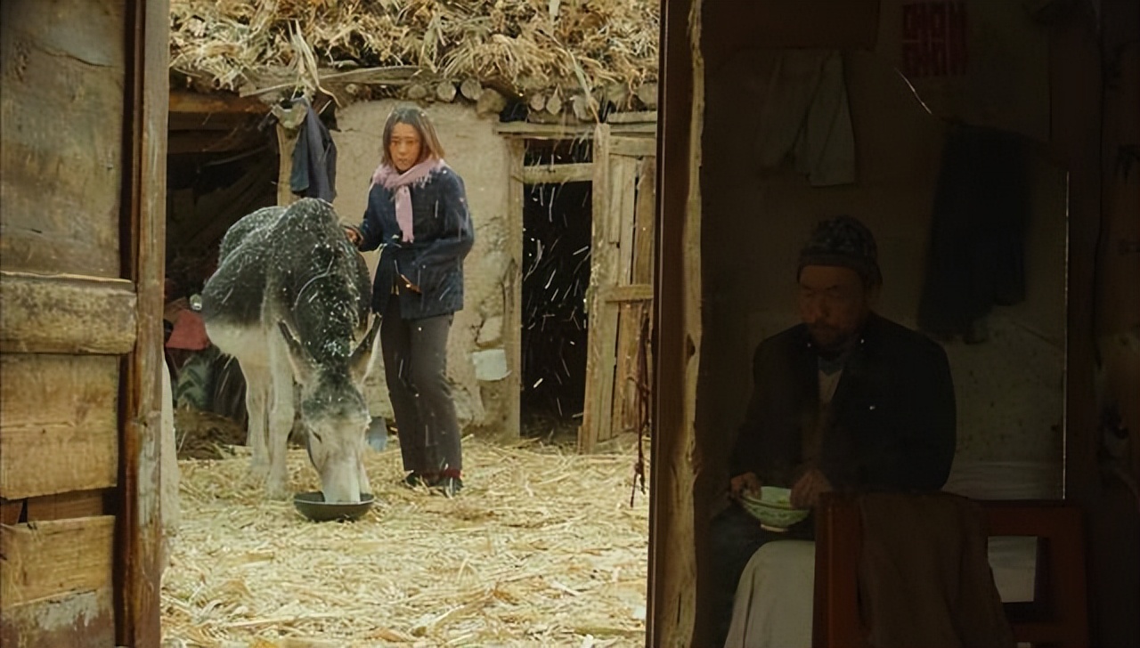 Haiqing, who won the award in 1 minute, why? - iMedia