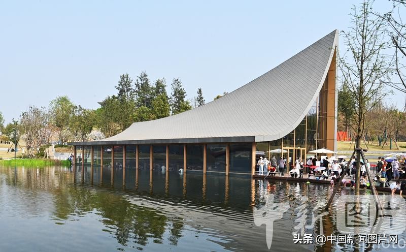Chengdu: "Underwater" bookstore attracts people to check in - iNEWS