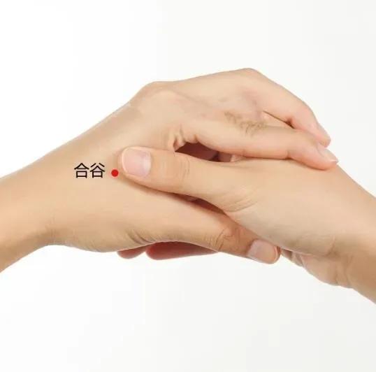 Traditional Chinese Medicine Hegu Point, also known as Toothache Pain ...