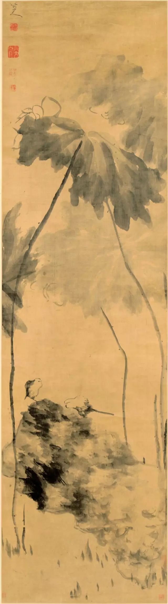 Bada Shanren live in the mud, but have pure dreams - iNEWS