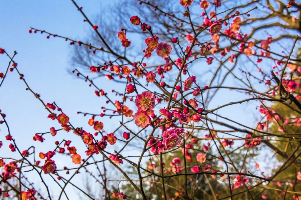 7 classic chanting poems, one by one through the ages - iNEWS