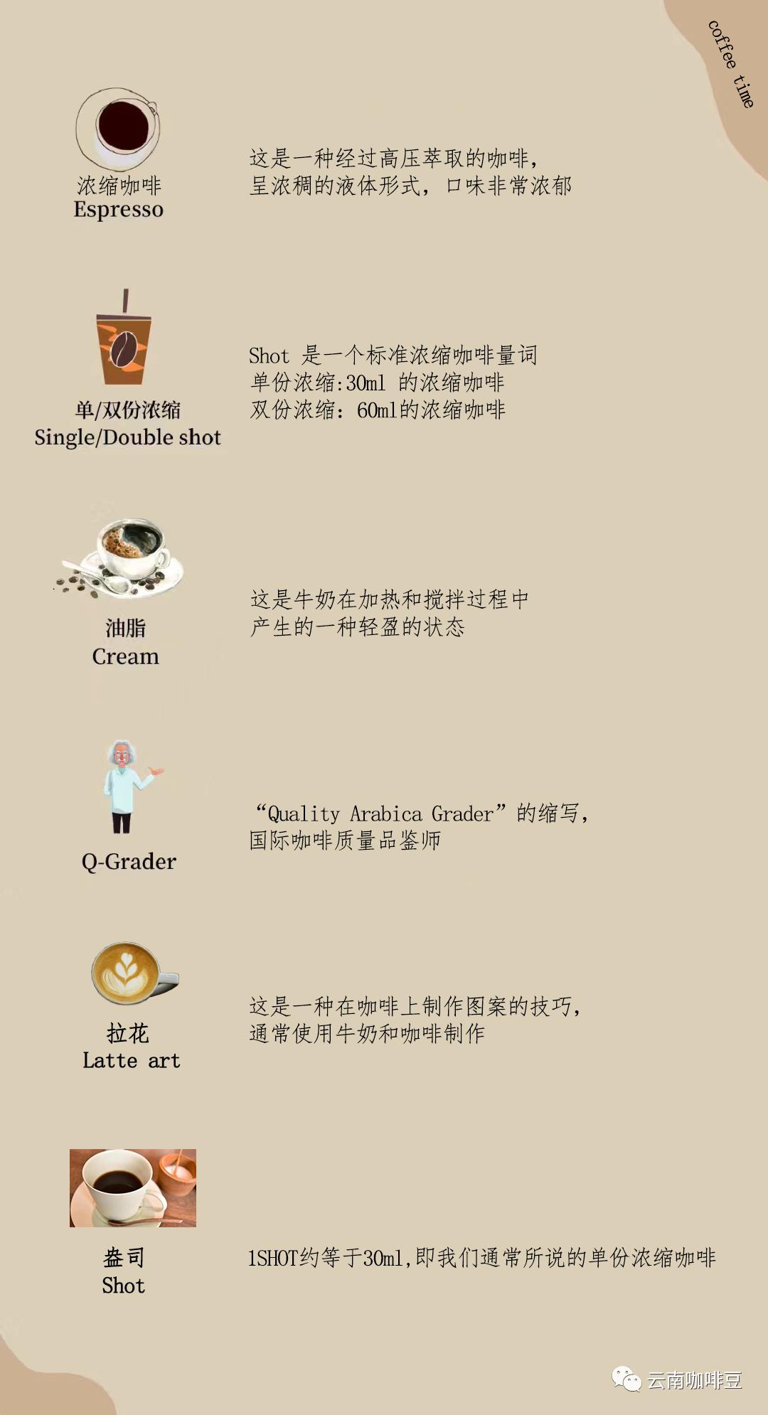 15 Common Coffee Terms - iMedia