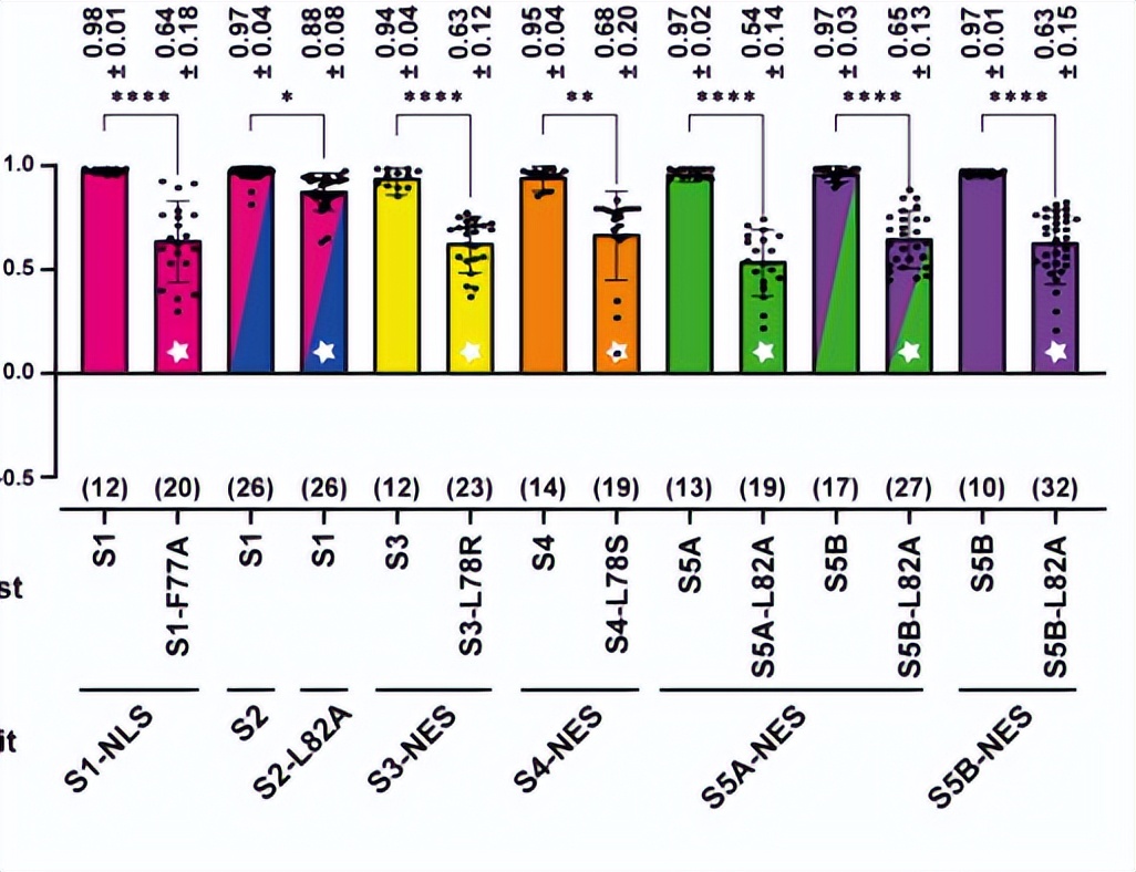 Self-assembly and functional diversity of potential STAT proteins in ...