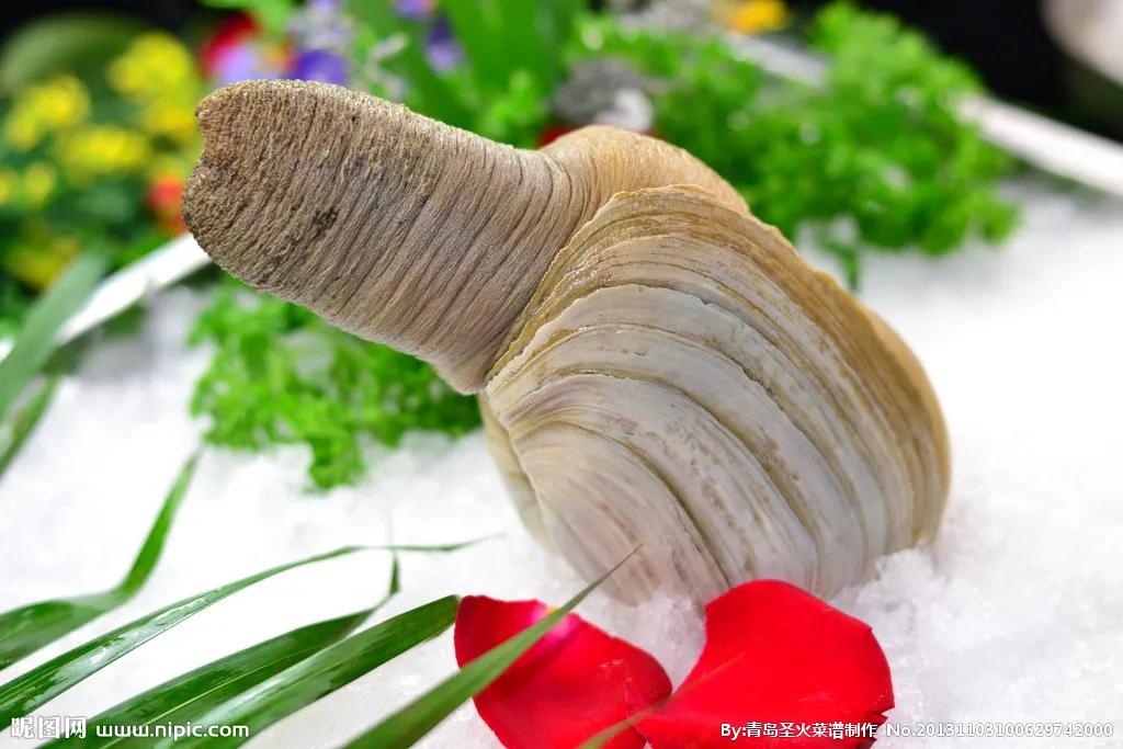 Elephant clams are here - iNEWS