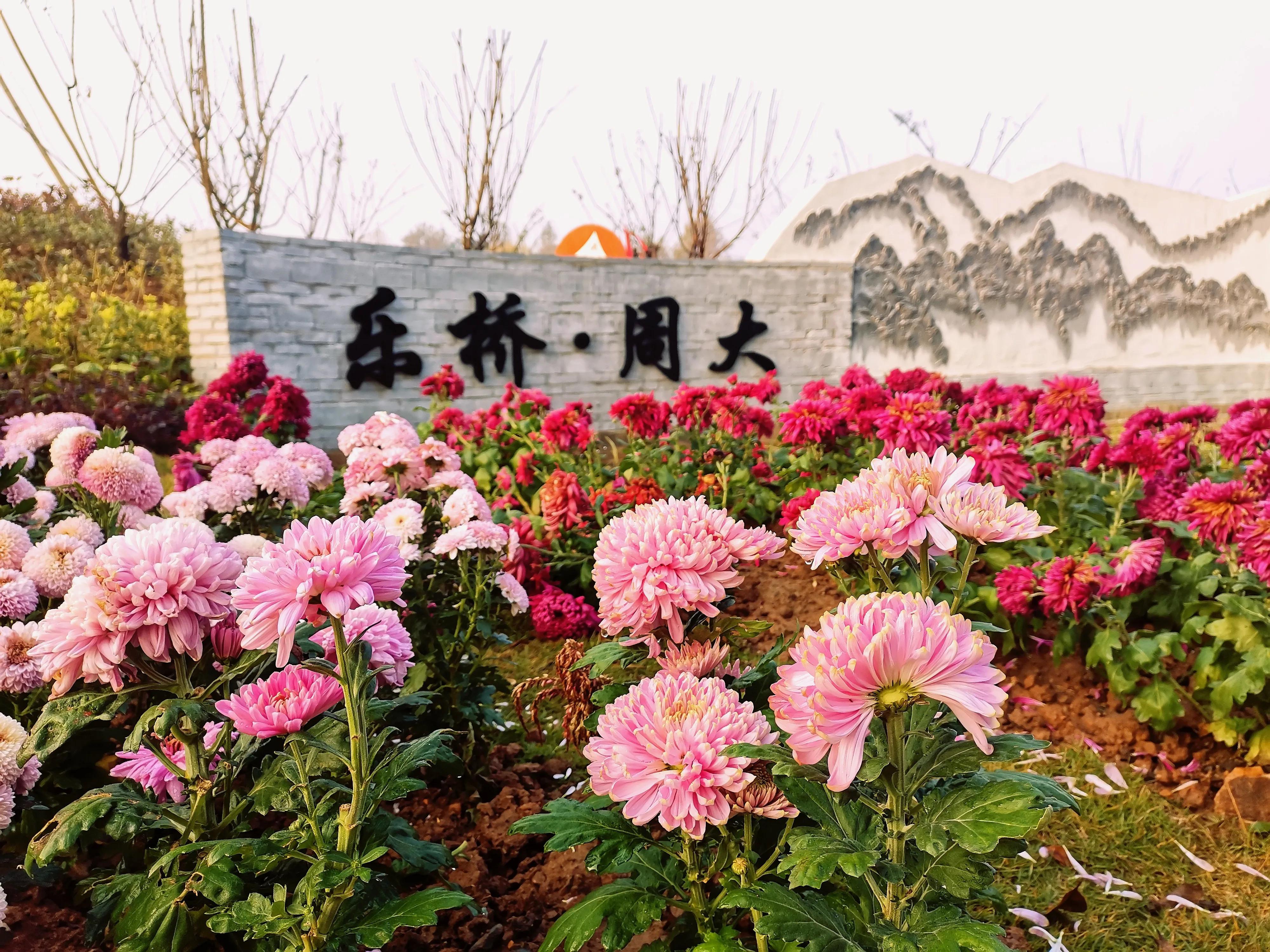 Drunk Melody Bridge, a thousand miles old - iNEWS