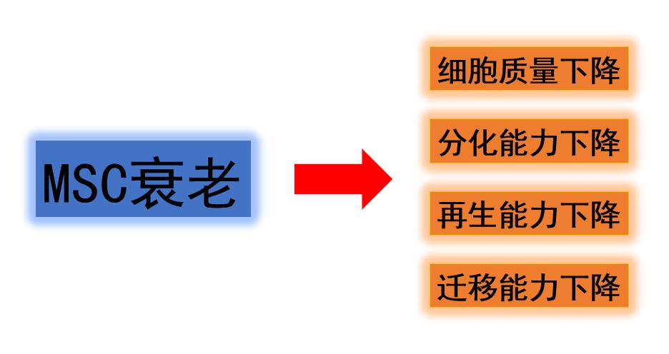 Stem cells are fully cultured, and MSCs can be easily passaged for ...