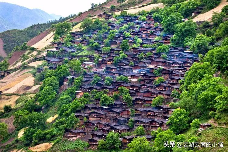 Weixi, the emerald in the Hengduan Mountains, is a paradise for golden ...