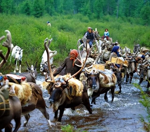 The three tribes of Solon are the most heroic people in China. They ...