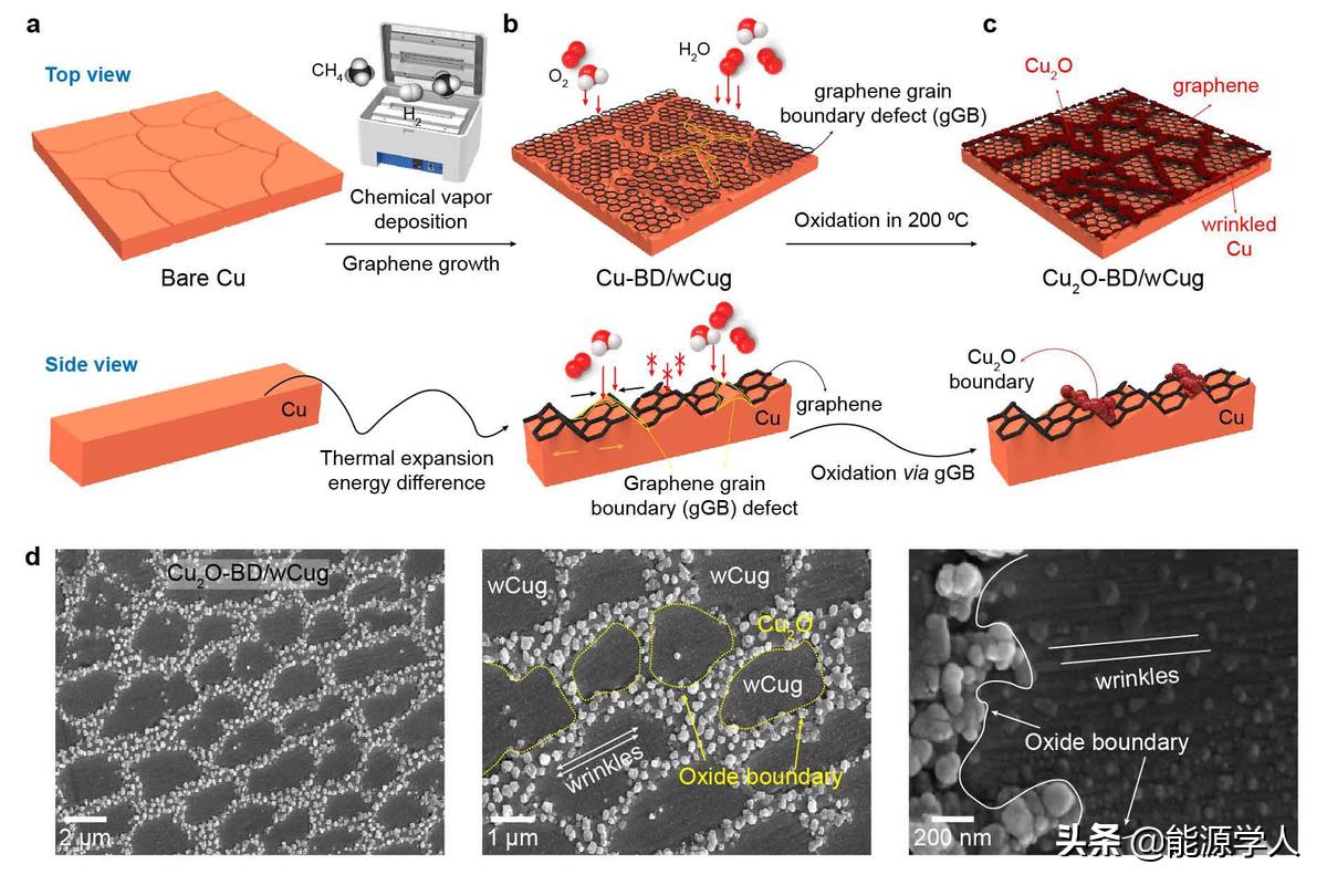 Cu2O boundary modulates lithophilicity of Cu substrates for ...