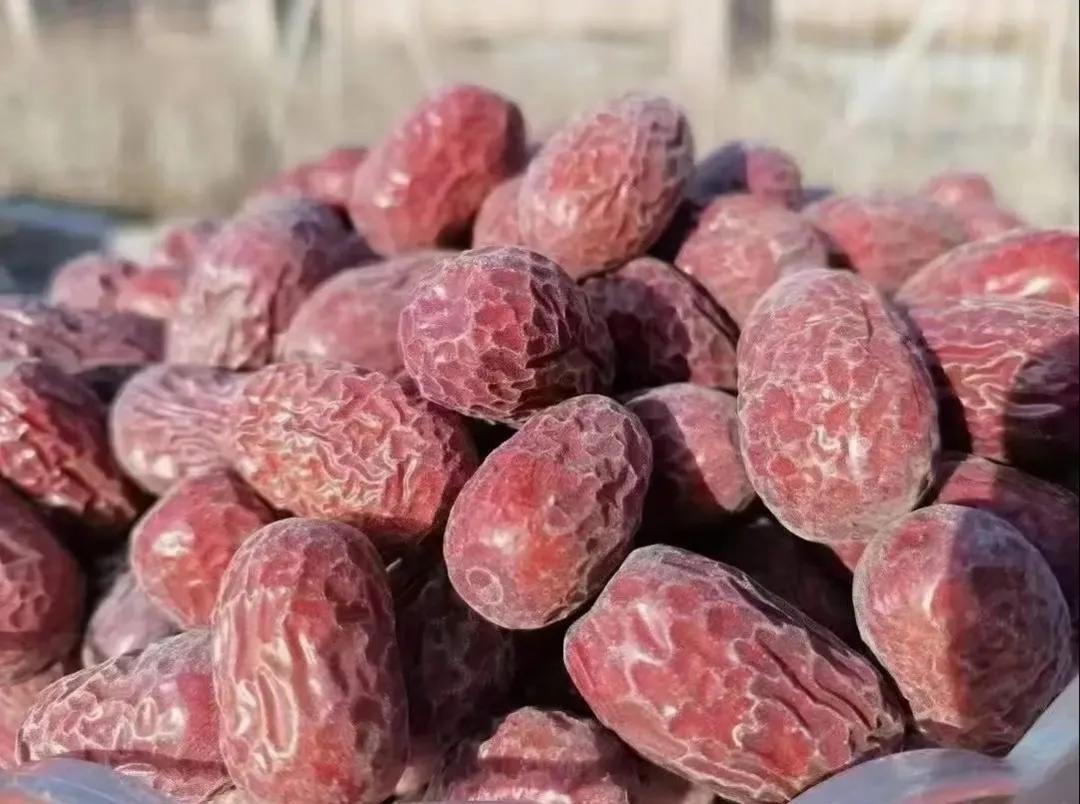 Xinjiang · Ruoqiang gray jujube - iNEWS