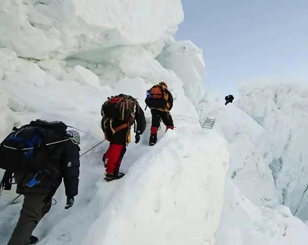 Any climb is insignificant in the face of natural evolution, and the ...