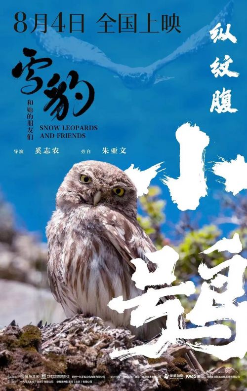 Documentary film "Snow Leopard and Her Friends": a magnificent ...