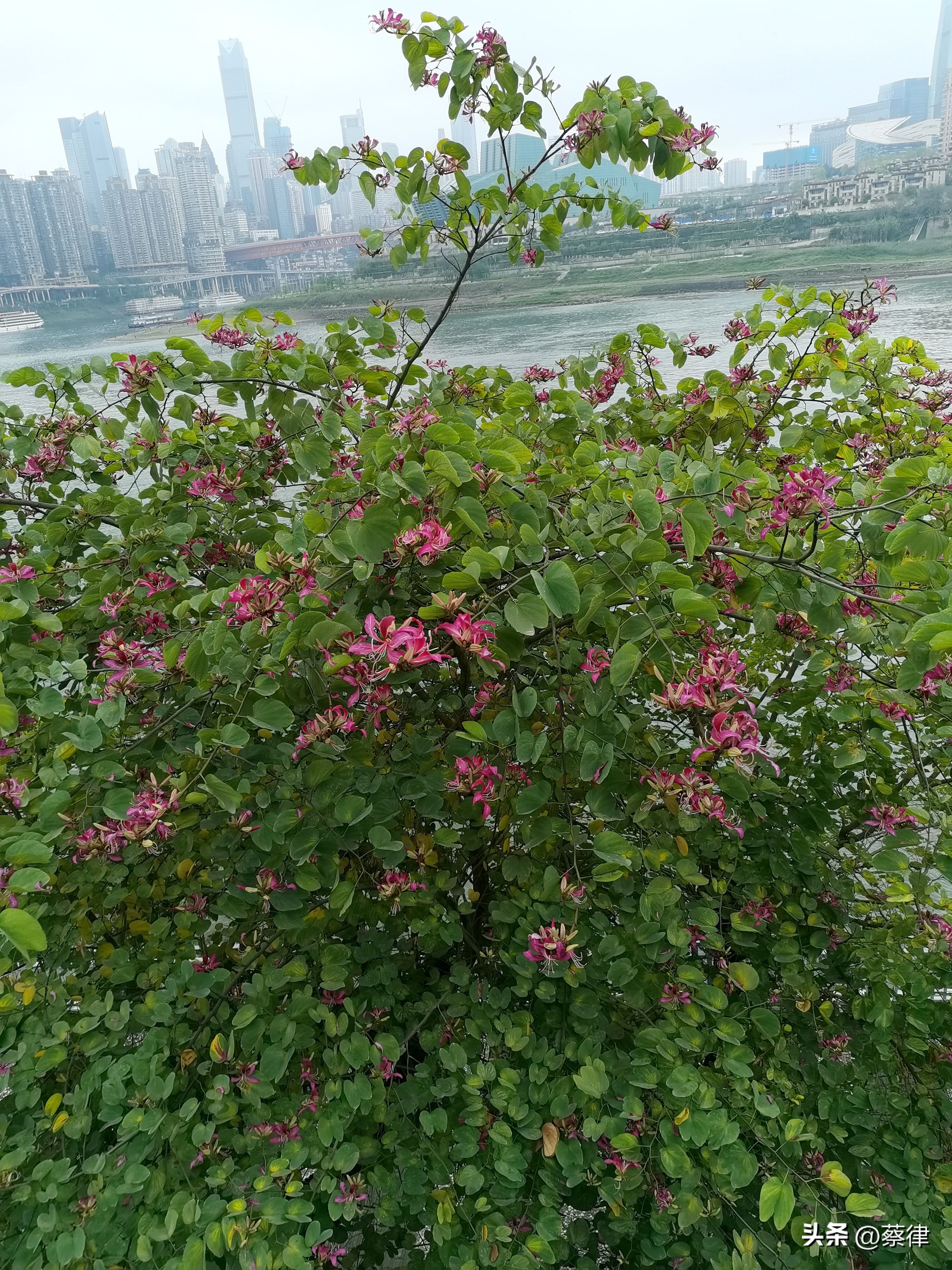 Changjiahui: The Hermitage of the City - iNEWS