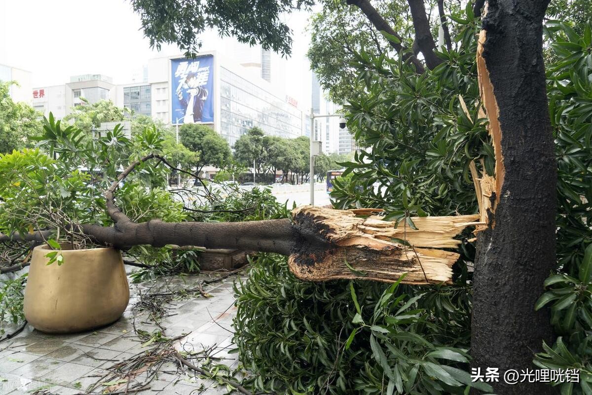 How to protect yourself during a typhoon? - iMedia