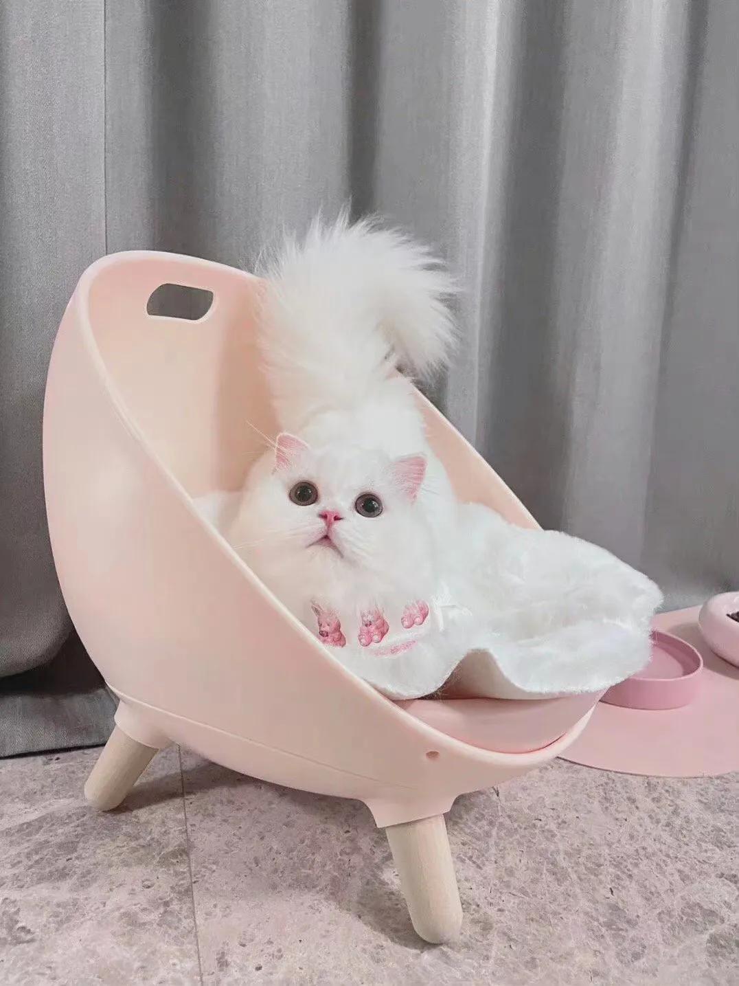 Dong Qing said: Please manage your 20-30-year-old well as long as you ...