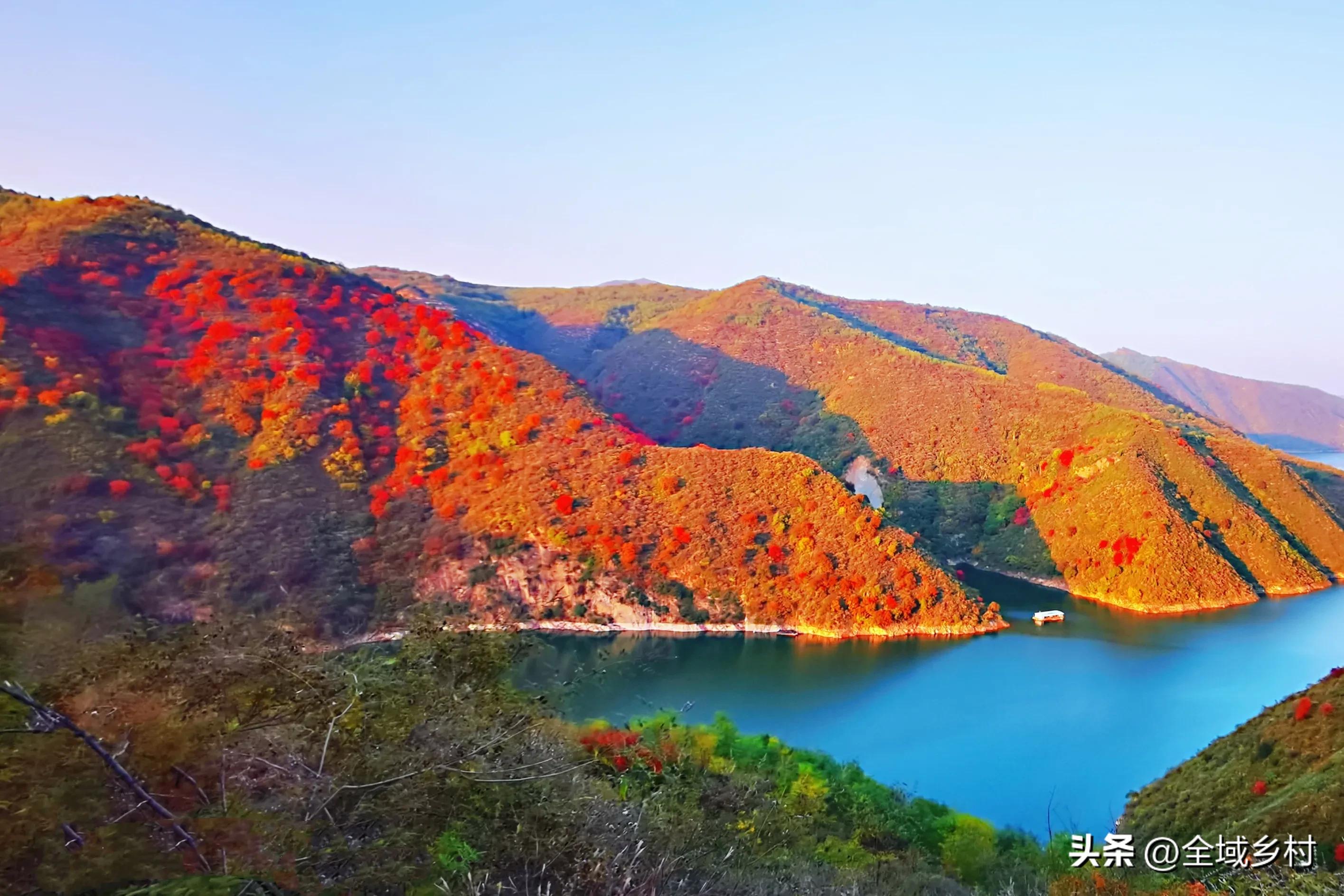 The red leaves hidden in the mountains of western Henan are red all ...
