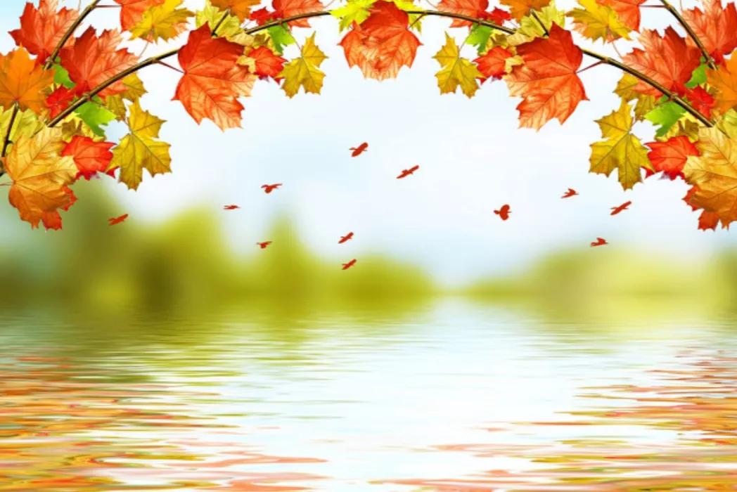 Original Poems: Qijue Sad Autumn - iNEWS