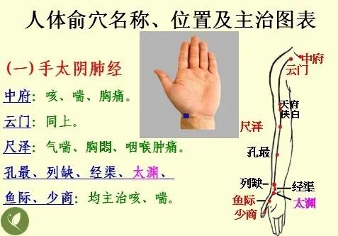 The name, location and indication chart of the 14 meridians and ...