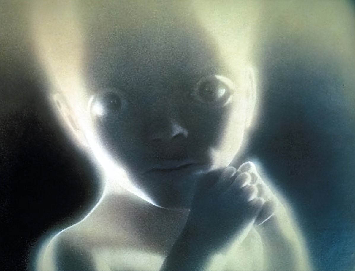 The Unique Visual Effects and Space Aesthetics of the Movie "2001: A ...