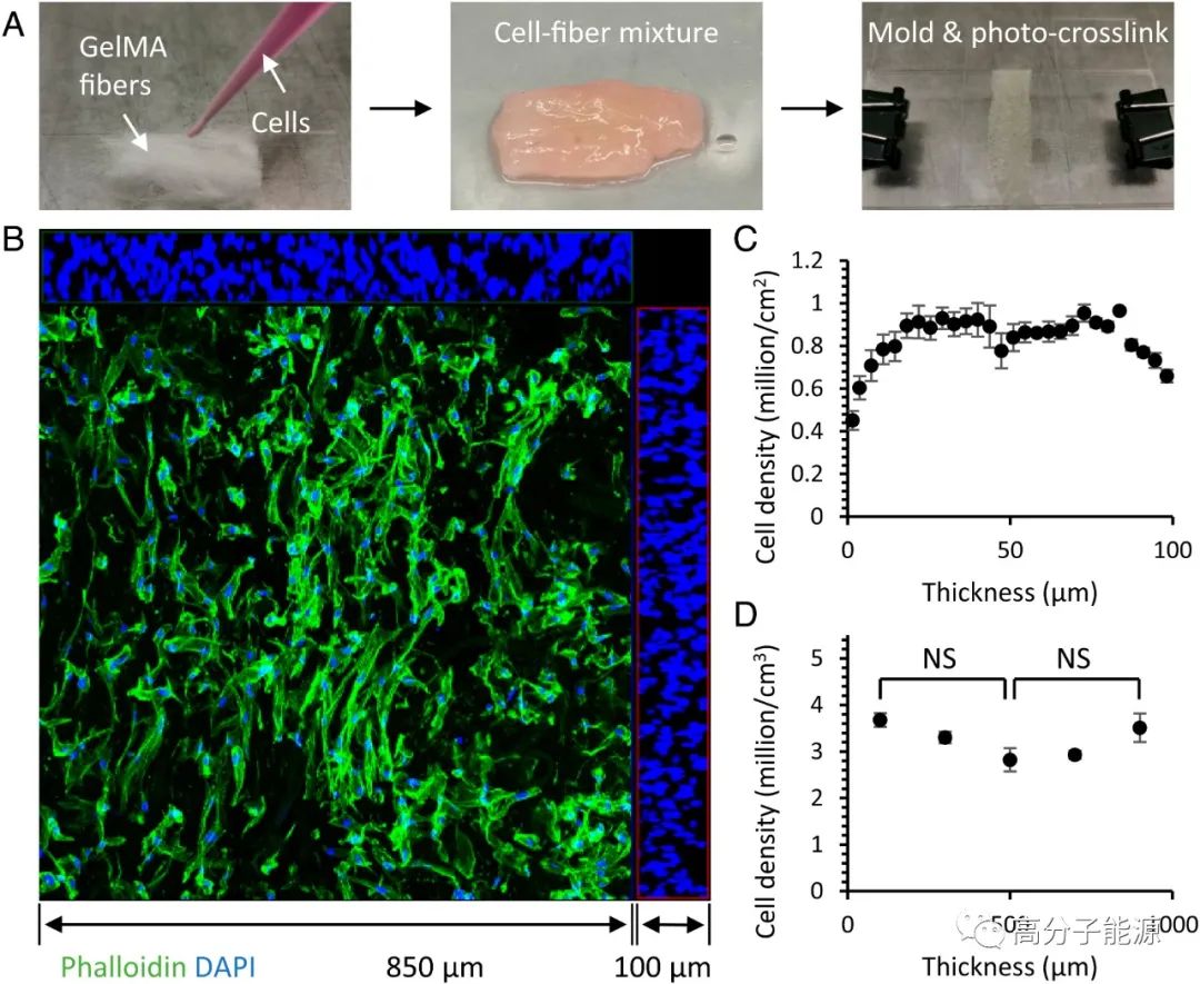 "PNAS》Soft, strong, tough and durable protein fiber hydrogel - iNEWS