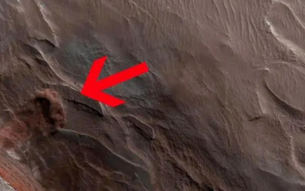 Giant tree exposed in 1999 photo of Mars? Astronomers decipher the ...